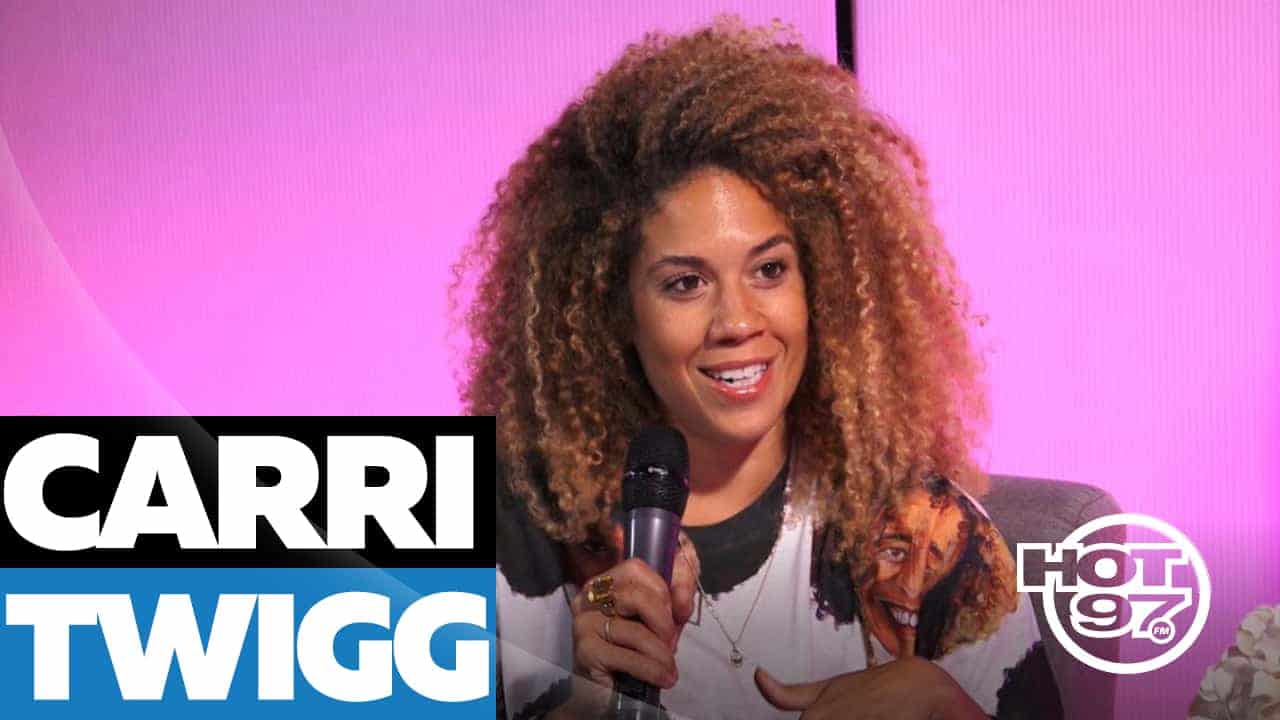 Former White House Liaison Carri Twigg Talks Race in America + White Supremacy! [VIDEO]