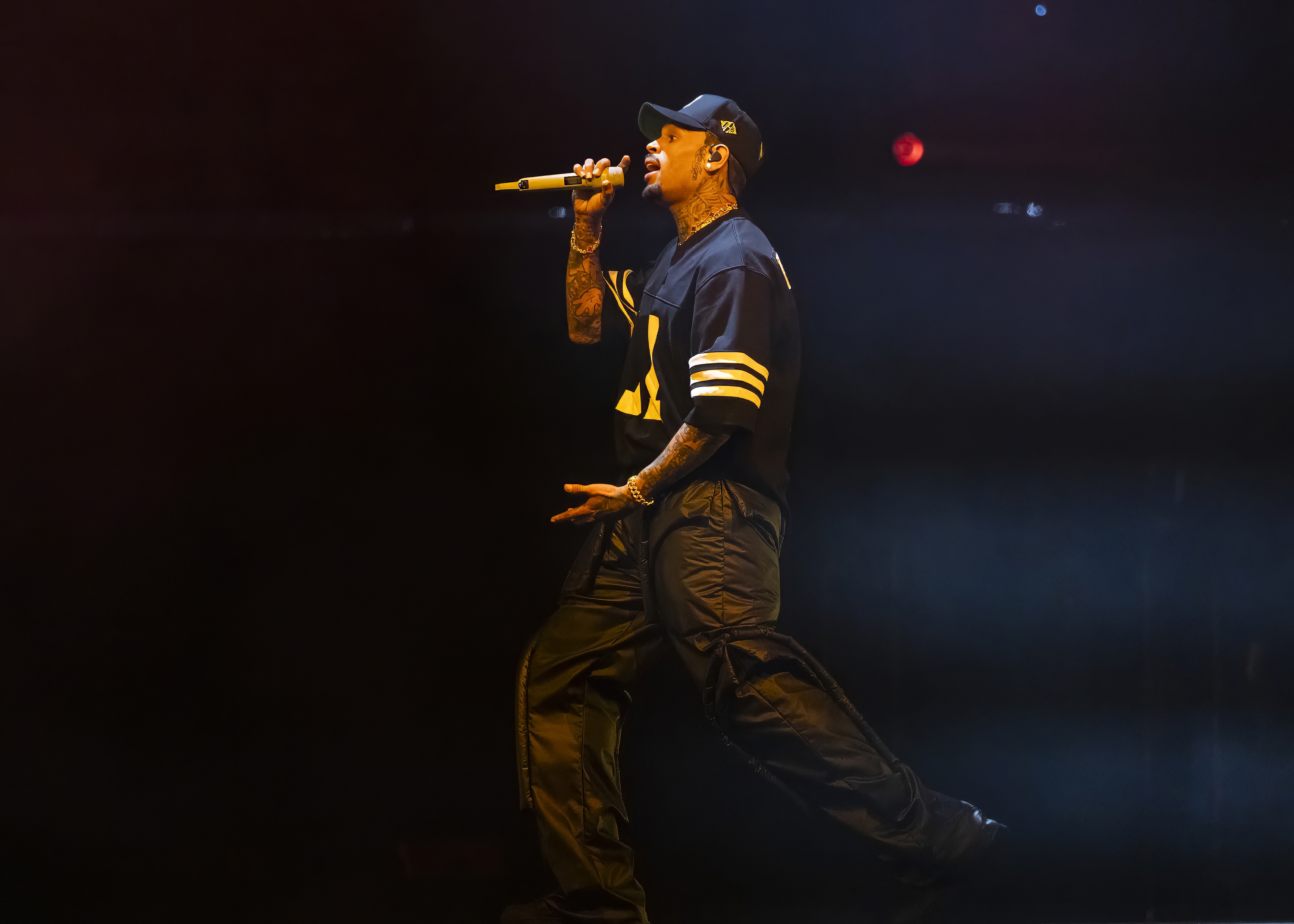 Chris Brown Laughs Off 'Blackballed' Claims At Sold-Out Tour